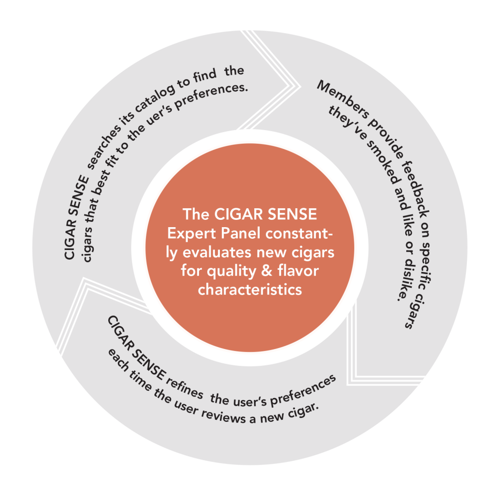 How It Works - Personalized Expert Cigar Recommendations