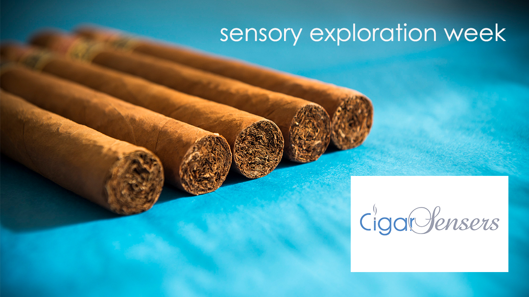 Cigar Sensory Exploration Week - Retrospective • Cigar Sense