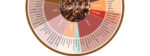 The Cigar Sense aromas wheel
