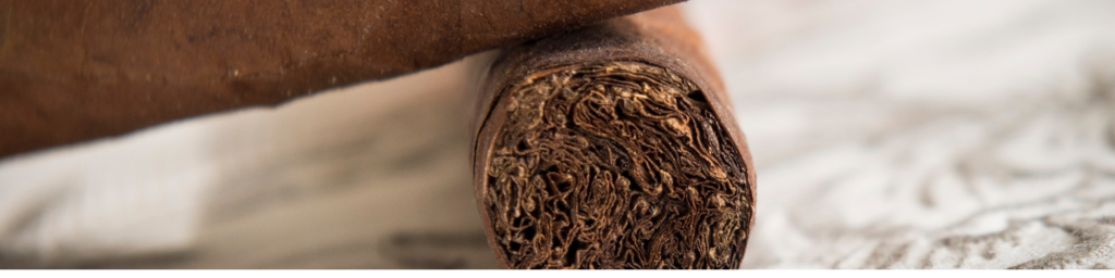 The Cigar Knowledge Guide • Cigar Sense