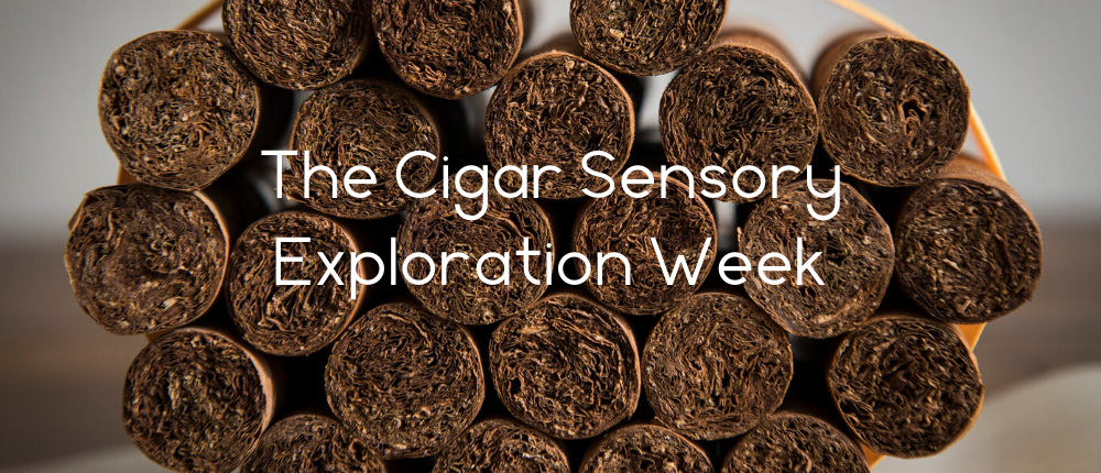 Cigar Sensory Exploration Week - How it works • Cigar Sense