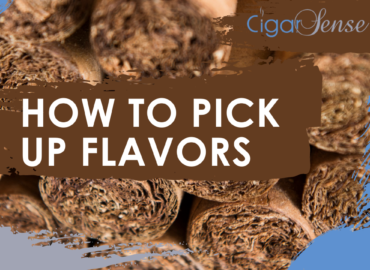 Cigar recommendations • Cigar Sense