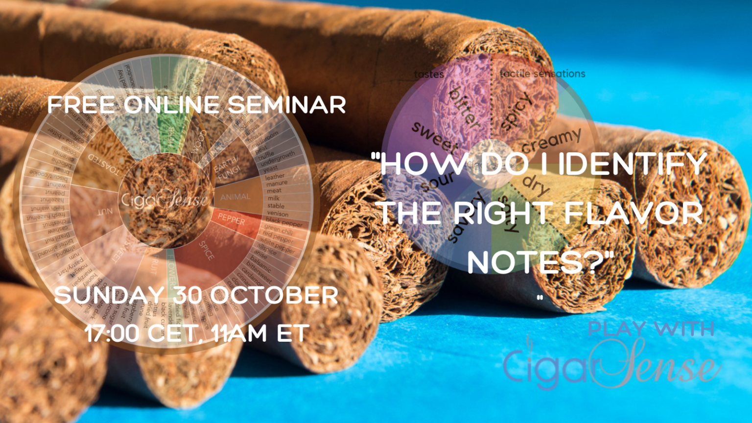 The sensory world of Room 101 Cigars • Cigar Sense