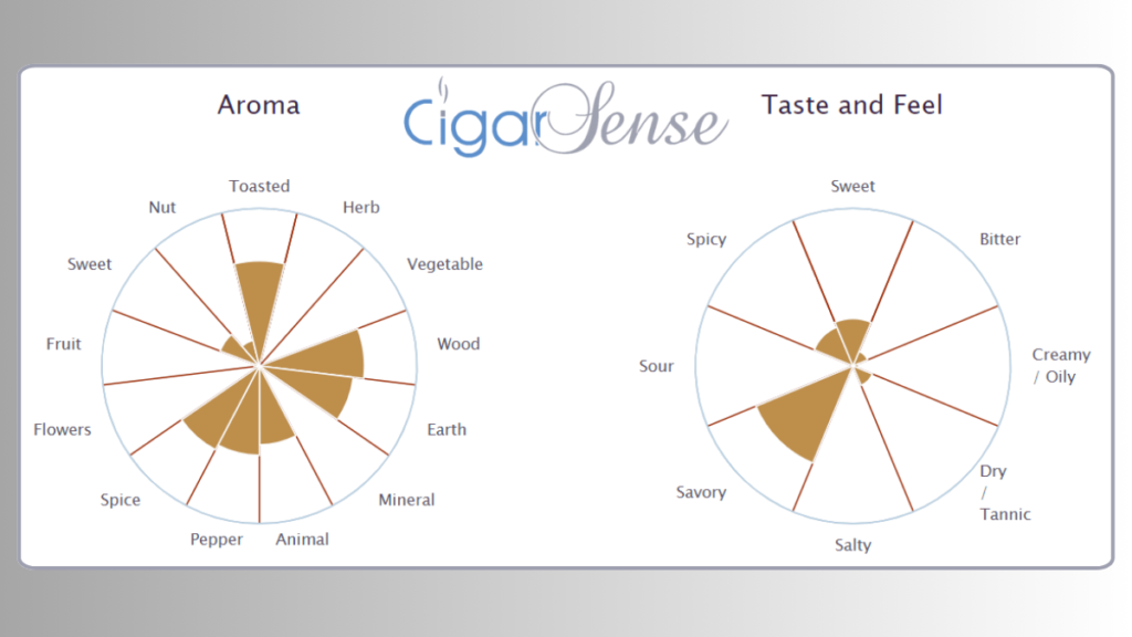 Cigar Analyses Archives • Cigar Sense